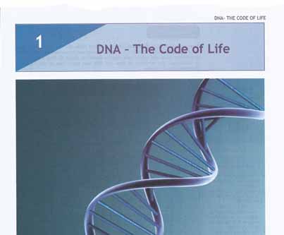 Pulse Education Services